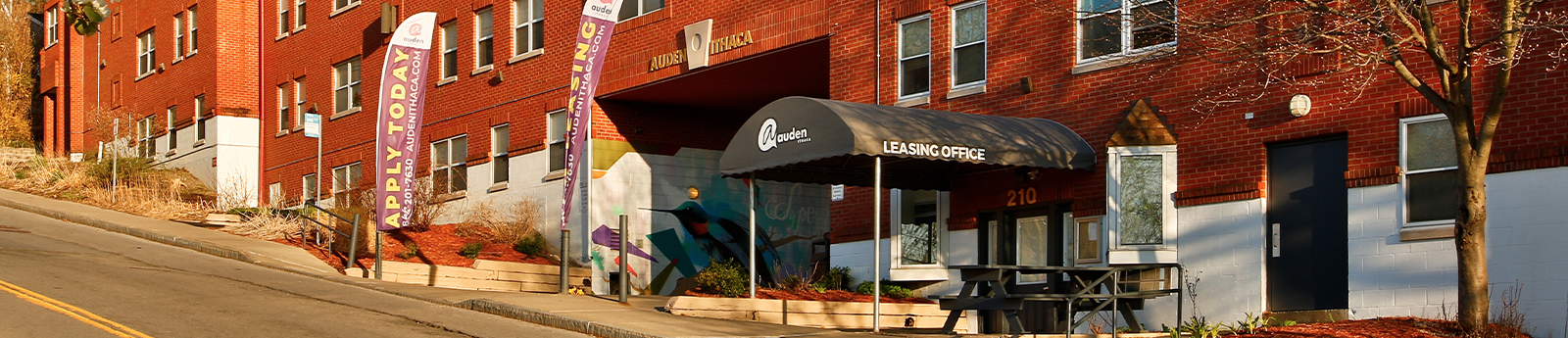 Apartment Floor Plans | Auden Ithaca